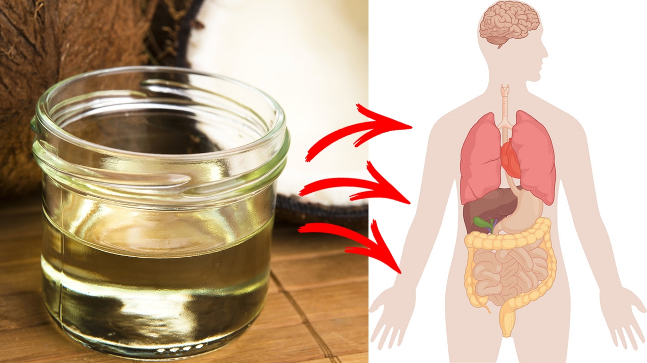 HOW USEFUL IS COCONUT OIL – AwesomeScoop AwesomeScoop.com